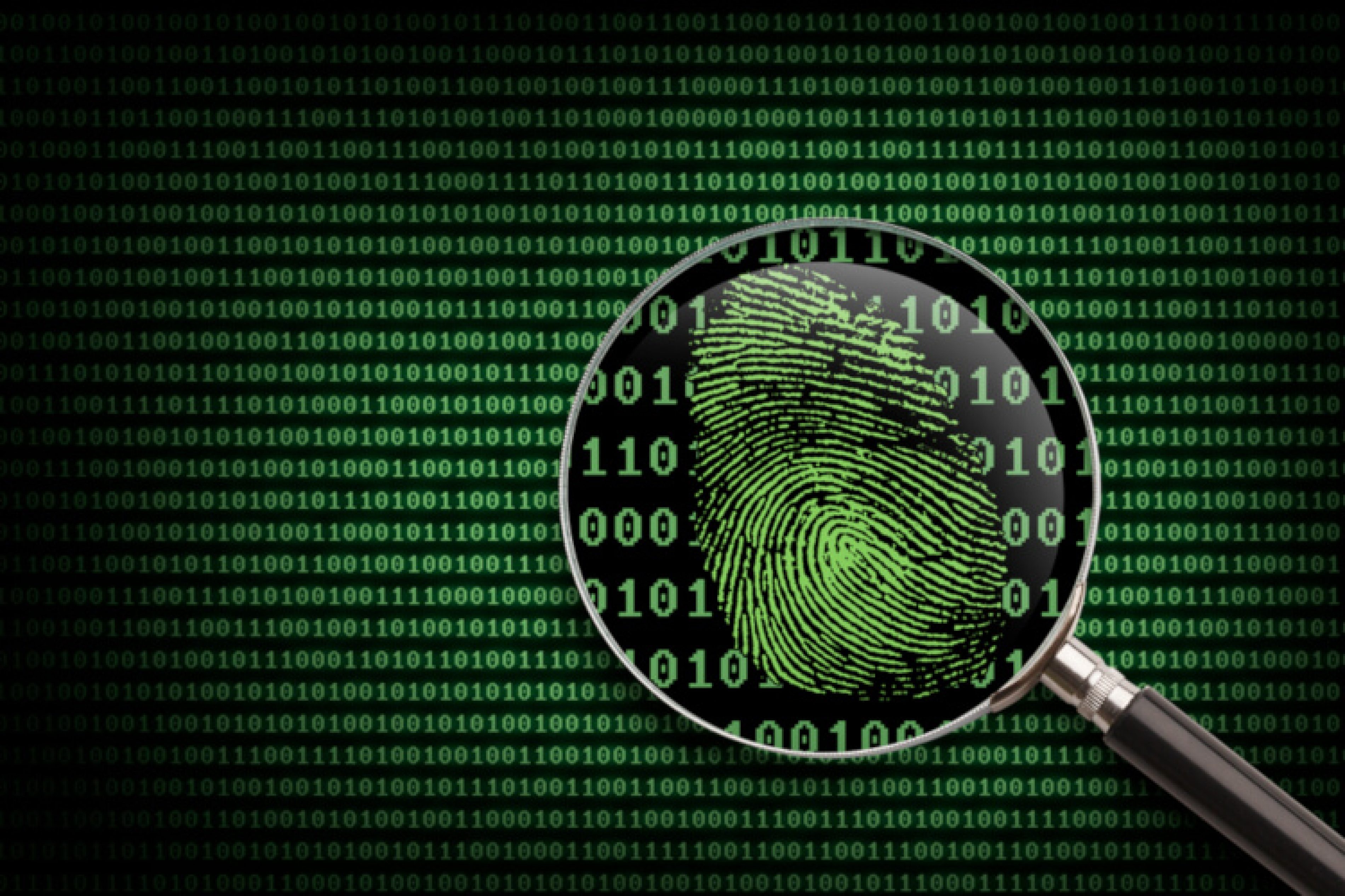 Entenda o que é Imagem Forense e sua importância na tecnologia - Blog ...