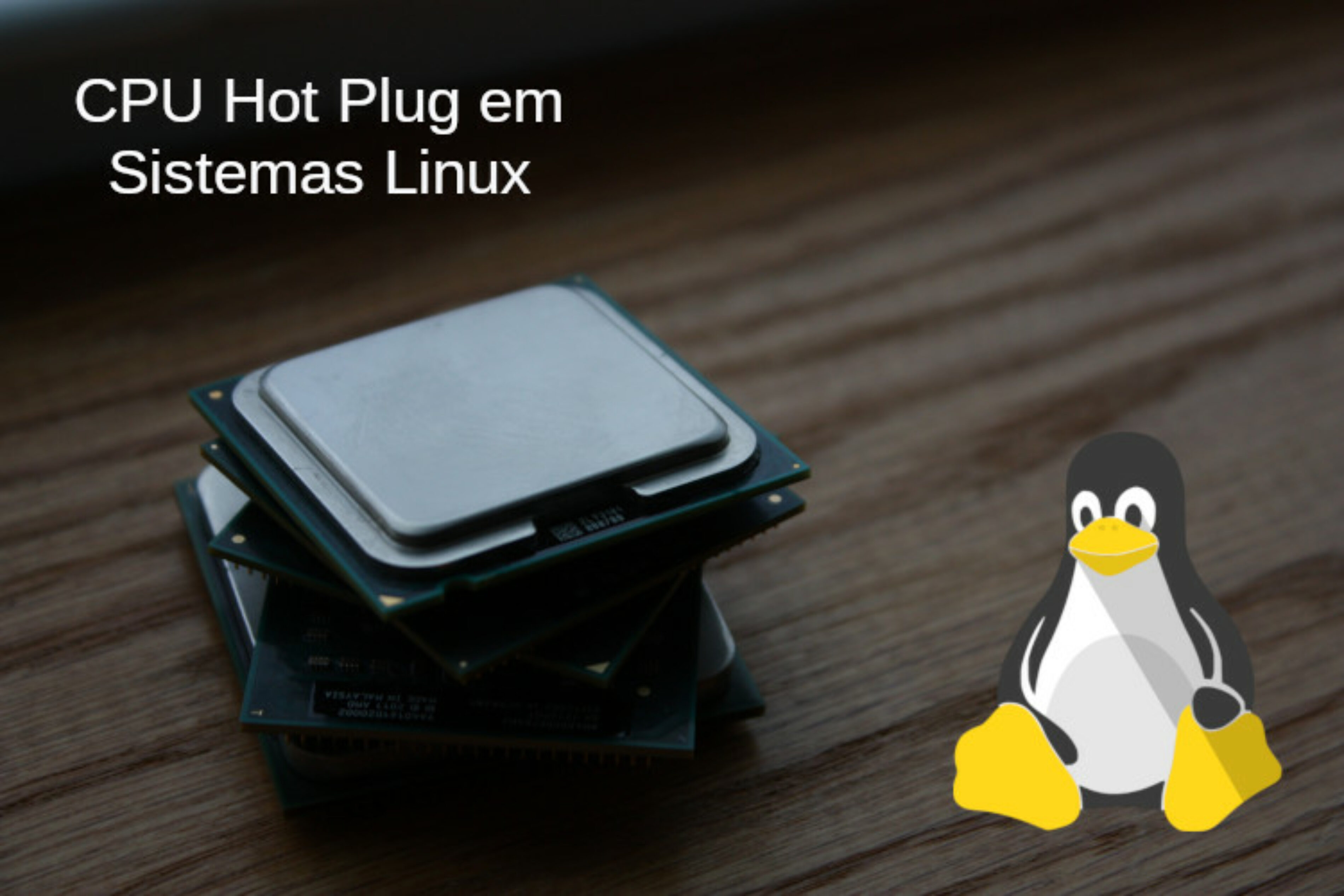Maximize o poder do seu servidor com Hot-Plug no Linux - Blog 4Linux