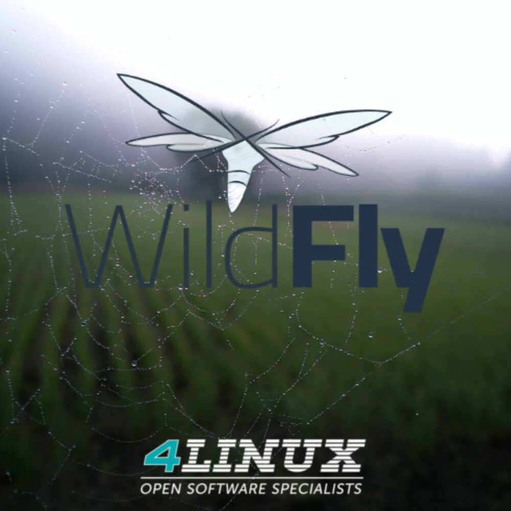 Wildfly Archives - Blog 4Linux