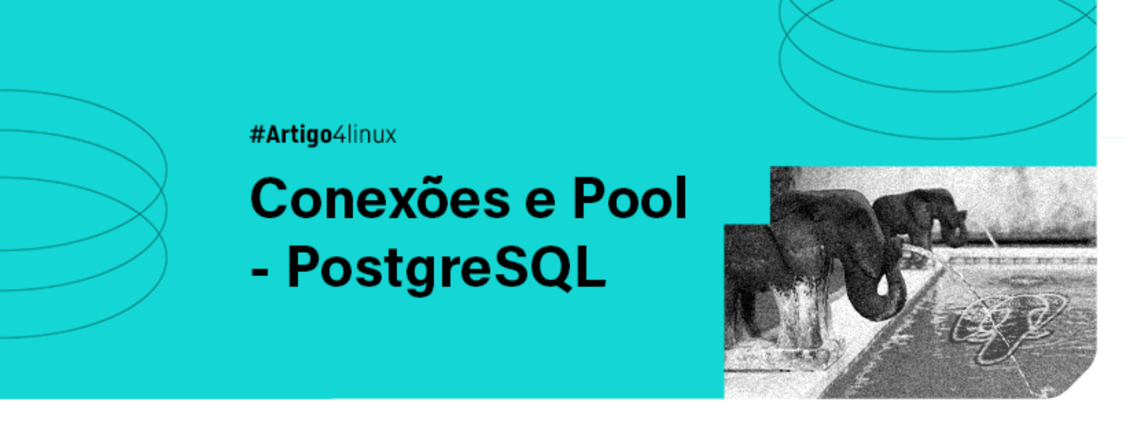 Entenda o Pool de Conexões no PostgreSQL e Melhore a Performance do seu Banco de Dados - Blog 4Linux