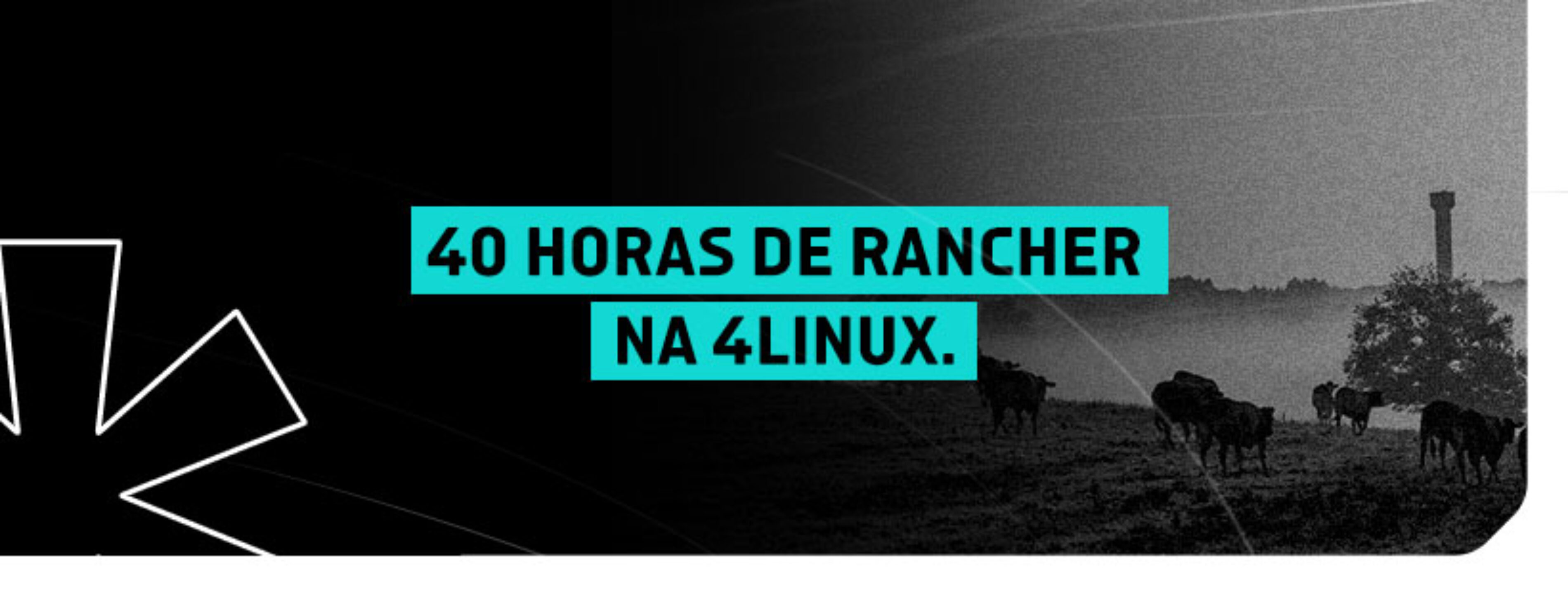 Curso de Rancher da 4Linux: Atualizado e Ampliado para 40 horas de aula - Blog 4Linux