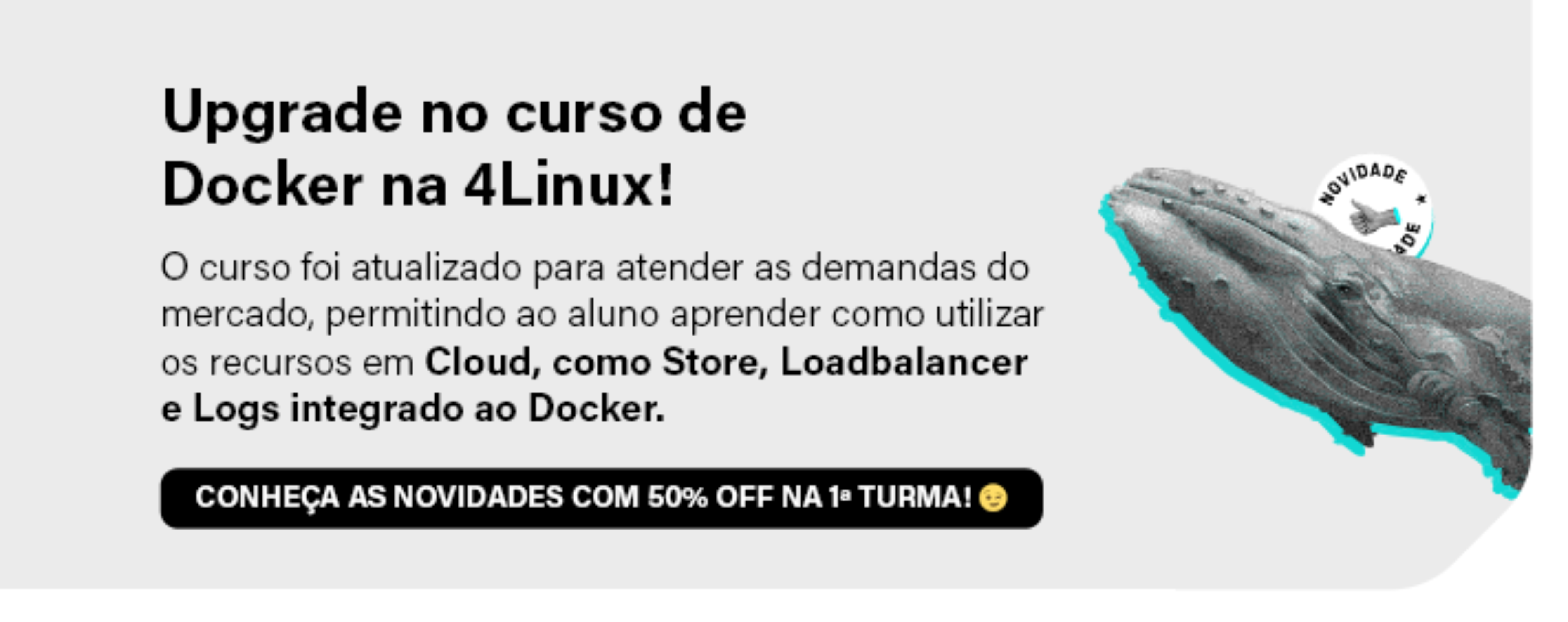 Curso de Docker atualizado: aprenda gerenciamento de Containers em Cloud - Blog 4Linux