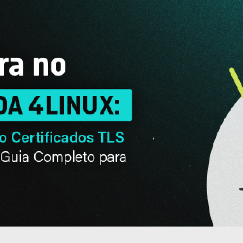 Crie sua primeira aplicação em Python: Guia passo a passo - Blog 4Linux